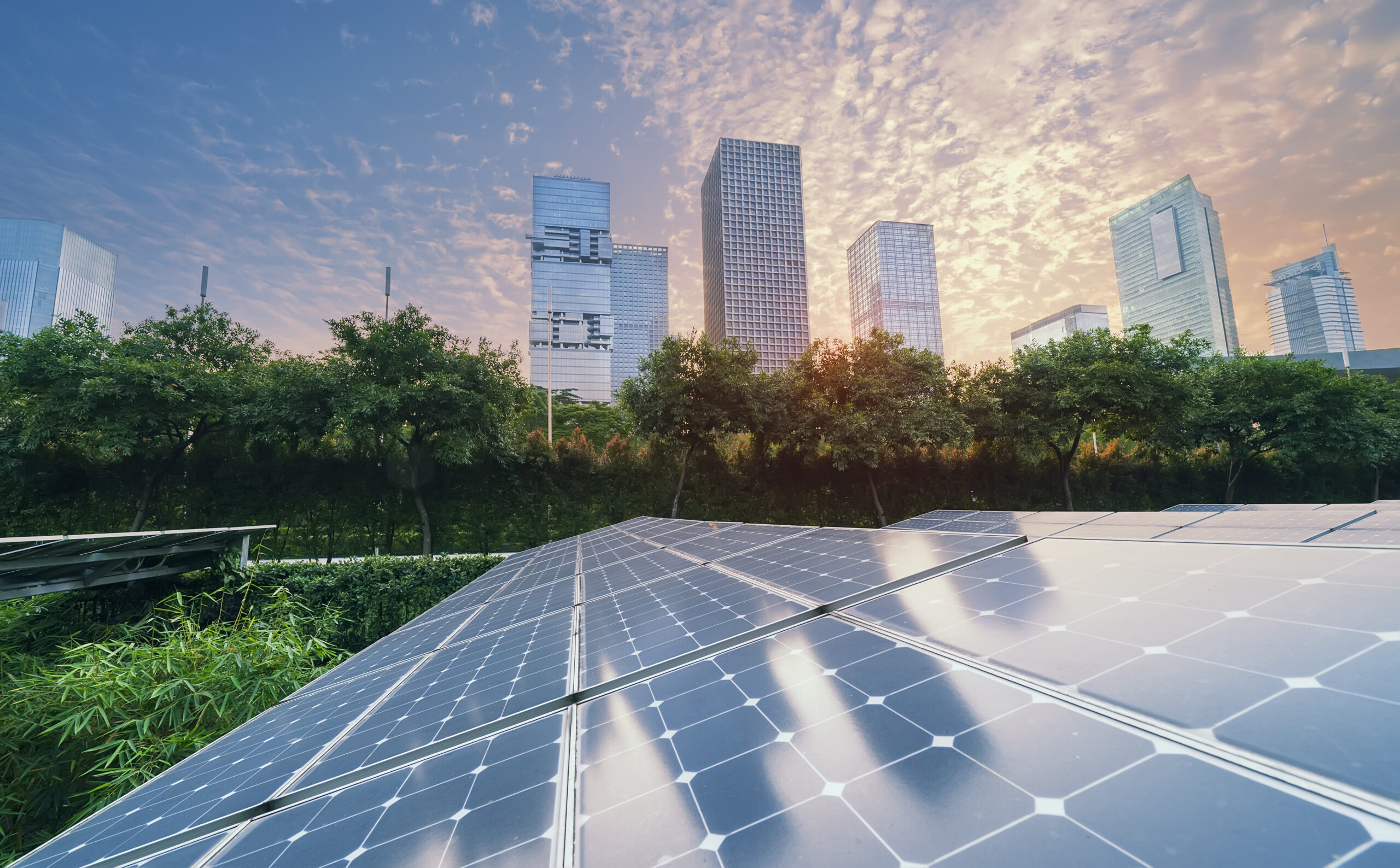 Emerging market green bonds to top $100bn in two years - PA Future