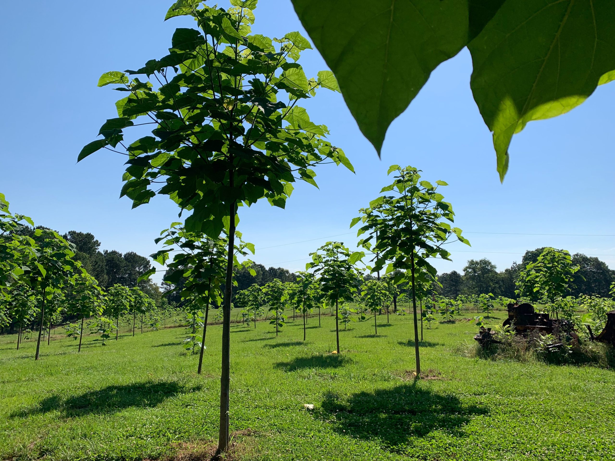 'Impact-washing' and a path to measuring impact - PA Future