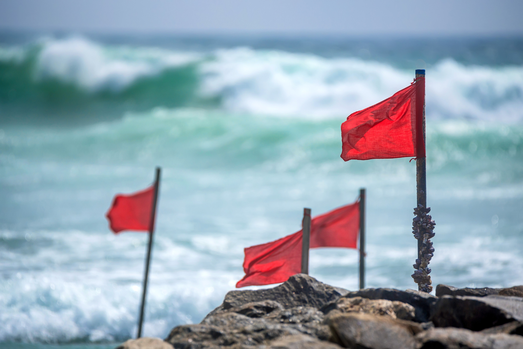 Red flags to look out for in corporate transition plans - PA Future