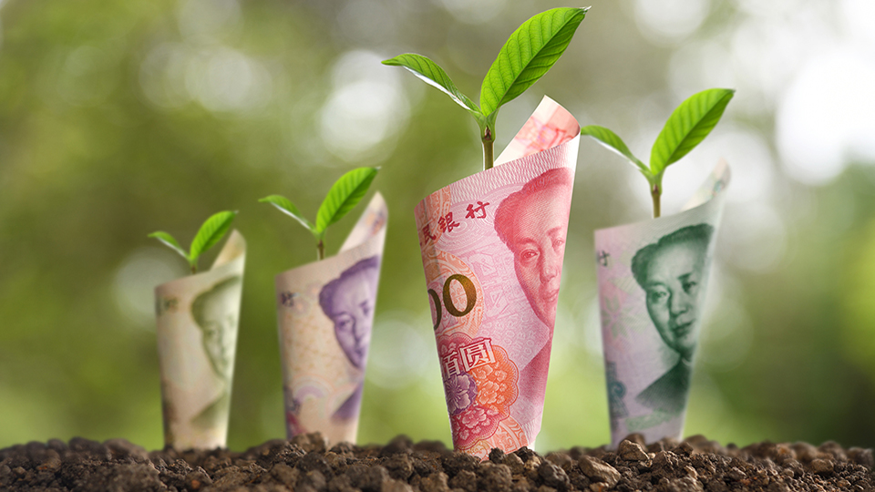 Ninety One launches green fund through Bank of China - PA Future