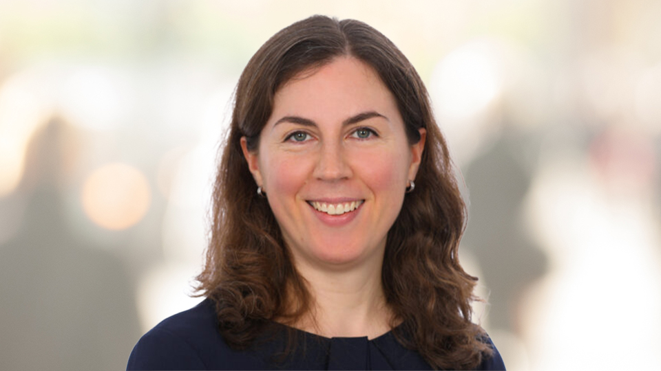 Ninety One targets EMs with sustainable fund - PA Future