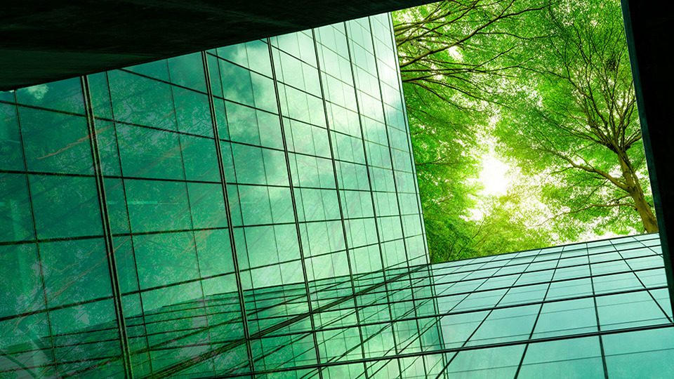 Aviva appoints Ramoutar as environmental sustainability director - PA ...